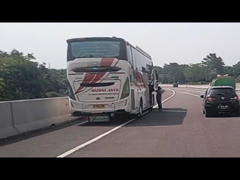 PO Lorena Bintang lima dan Bus murni jaya menunggu penumpang di Ciawi ...