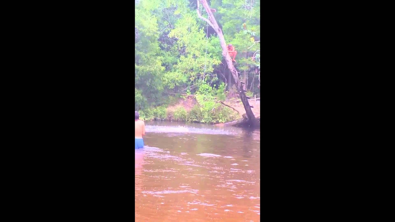 High Jumping Out a tree - YouTube