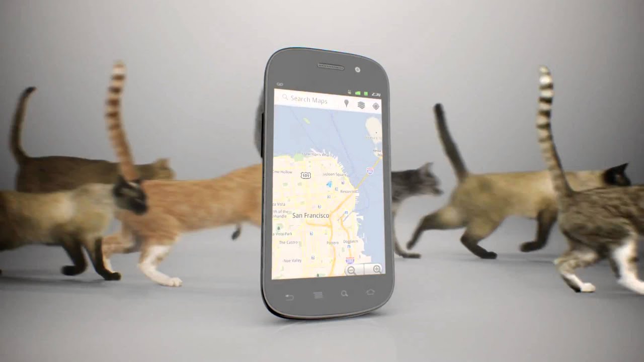 Spot Nexus S 4G Cats - YouTube