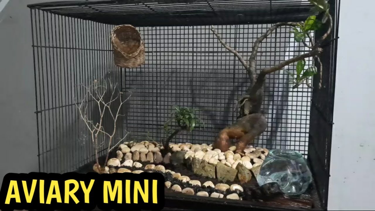 CARA MEMBUAT AVIARY MINI MUDAH DAN MURAH !! - YouTube