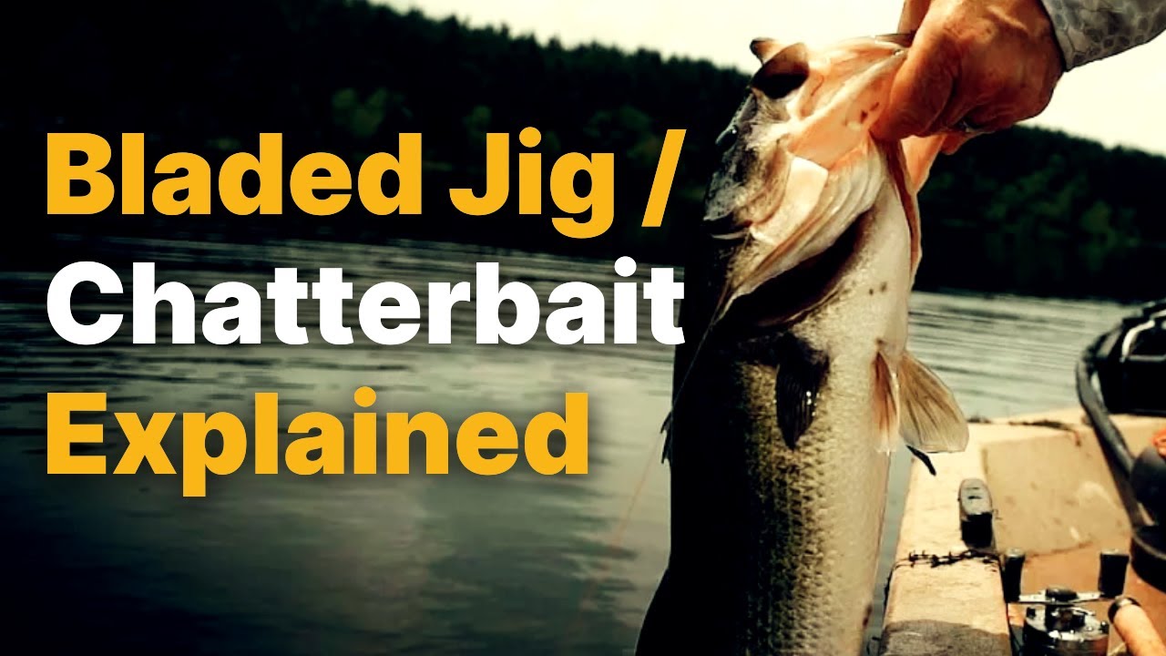 How To Fish Bladed Jig & Chatterbait w/ @TylersReelFishing - YouTube