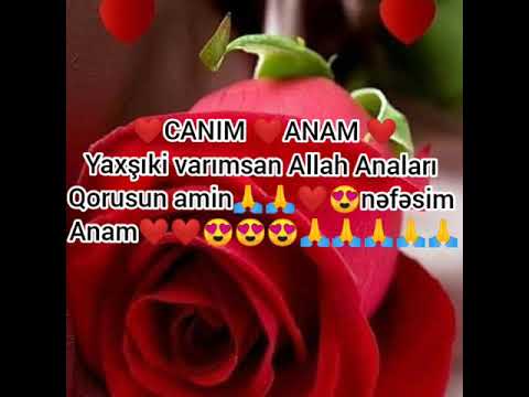 ELVİN BABAZADƏ ƏZİZİM ANA AZƏRİ DİLİNDƏ❤😍🙏