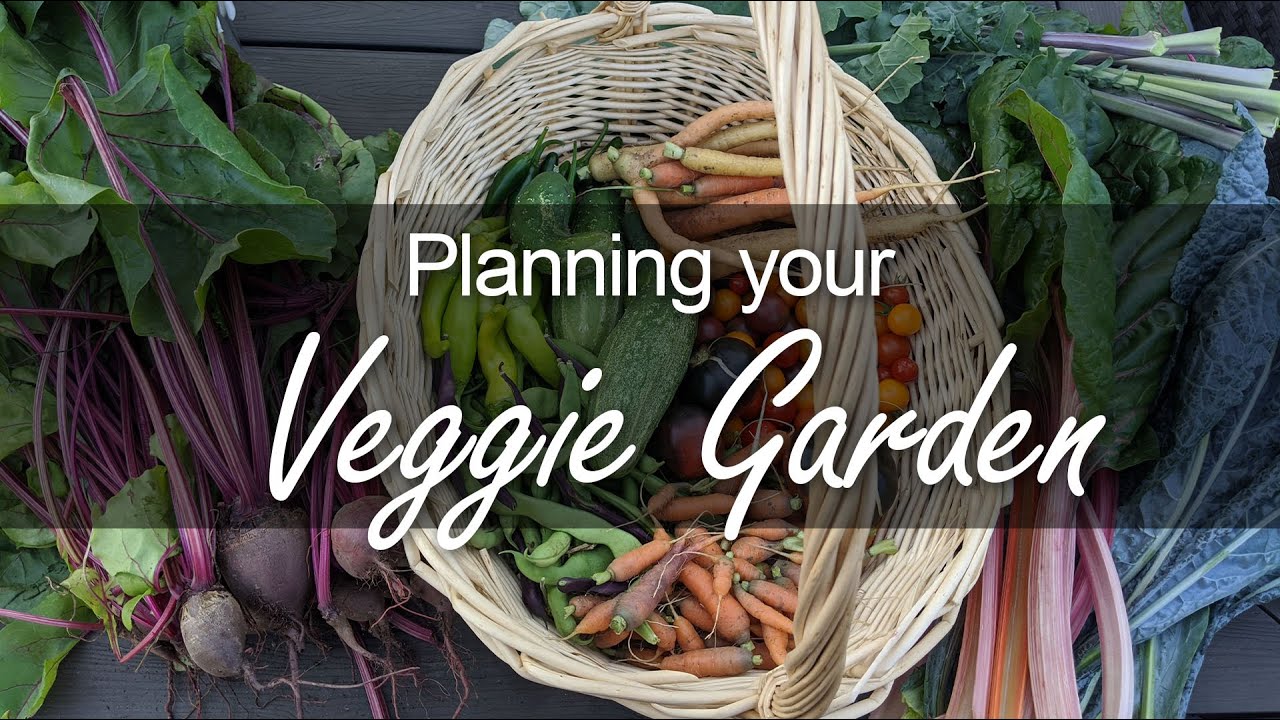 Tips for Planning your Vegetable Garden - YouTube