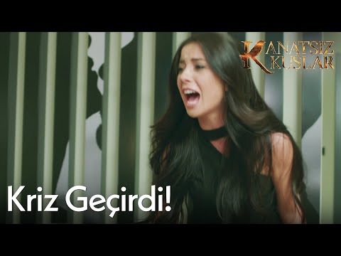 Zeynep kriz geçiriyor! - Kanatsız Kuşlar🕊🕊
