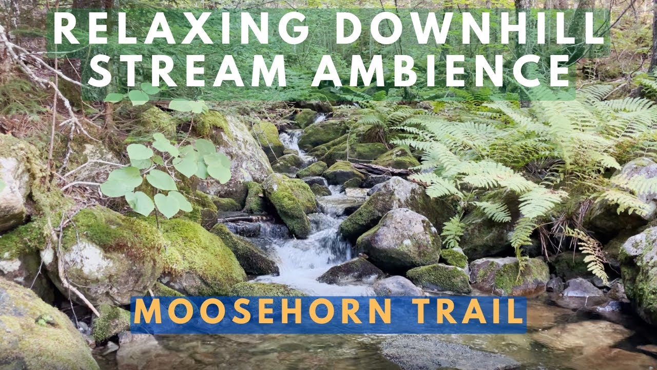 Brook | Small Waterfall | Stream | Ambience | East Coast | Canada ...