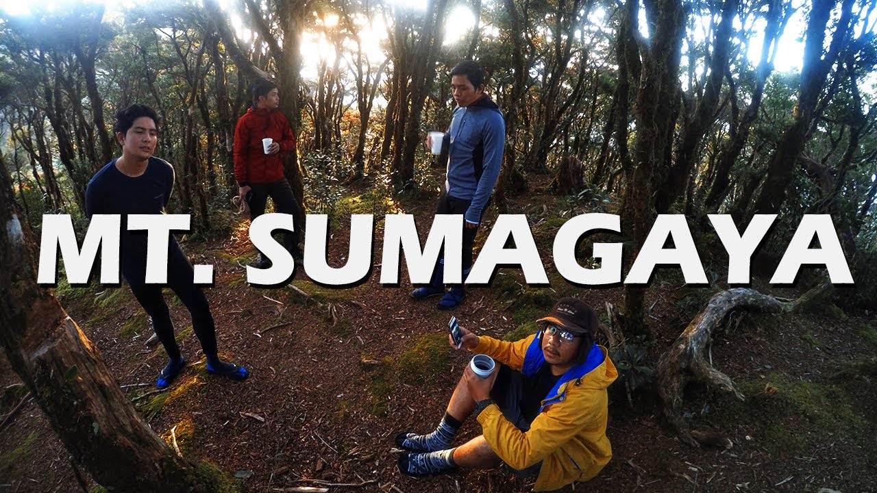 MT. SUMAGAYA 2019 // SEA TO SUMMIT BOYS - YouTube