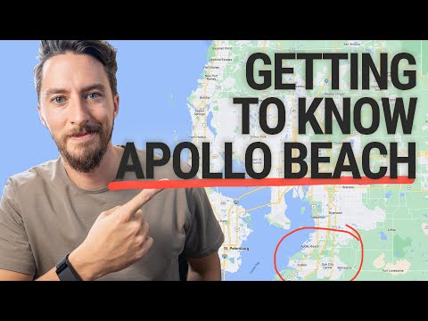 Apollo Beach: Is This the Right Place for You?
