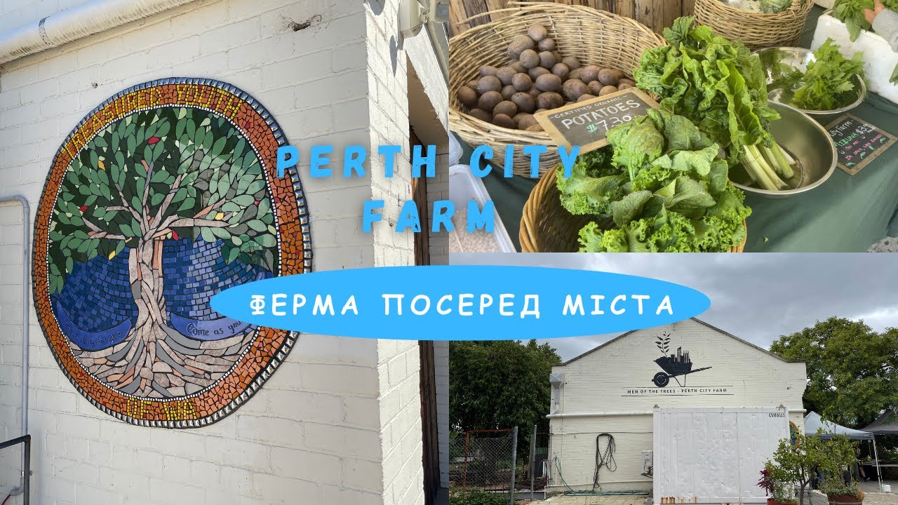 Ферма (з курами) посередині Перта | Perth City Farm - YouTube