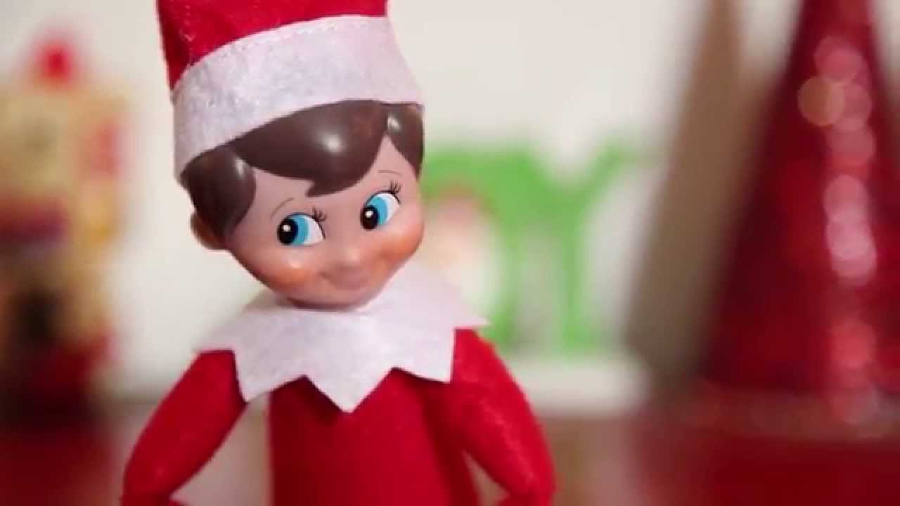 Frank the Cat Vs. Elf on the Shelf: Day 3 - YouTube
