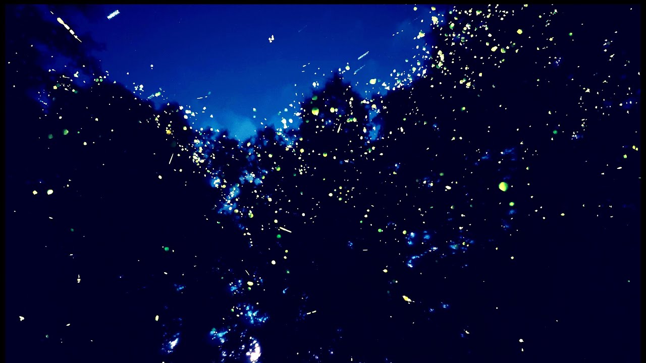Fireflies & Shooting Stars SKYFLOW Time-Lapse App w/ iPhone 13 Pro ...