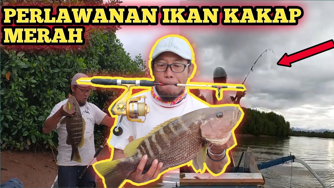 Perlawanan keras IKAN KAKAP di muara topo... ||Akhirnya dapat juga ...