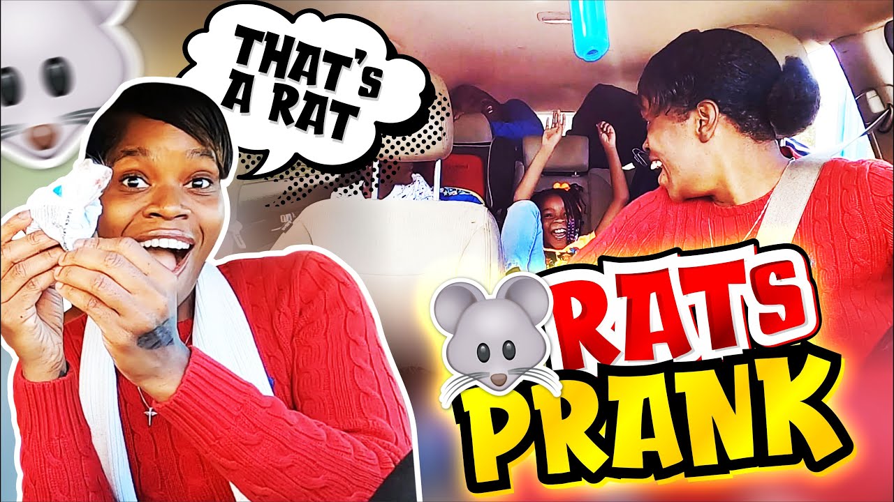 #pranks 🐀Rat Prank on Boyfriend He's Losing His Mind#viralvideo - YouTube