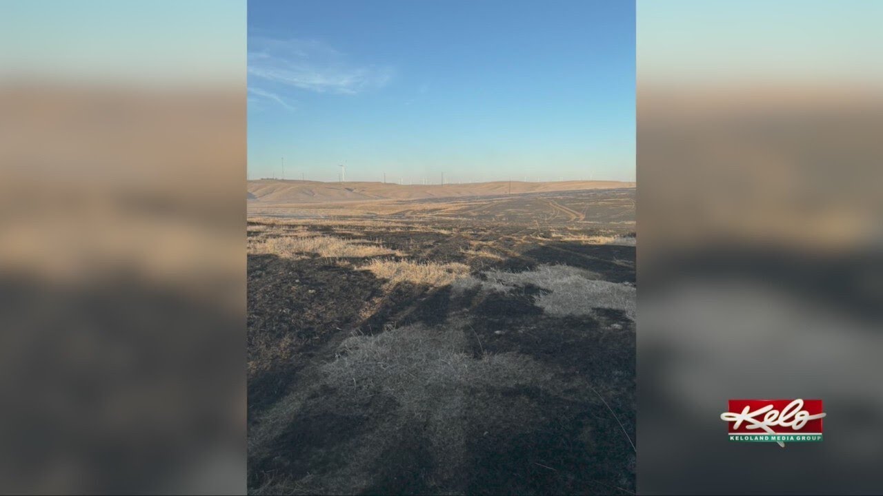 Control burn spreads to field - YouTube