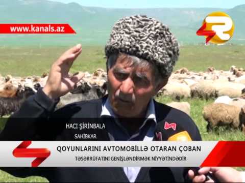 SAMAXIDA MARAQLI COBAN