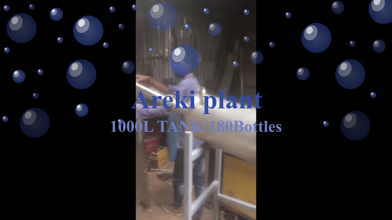 Areki plant - YouTube