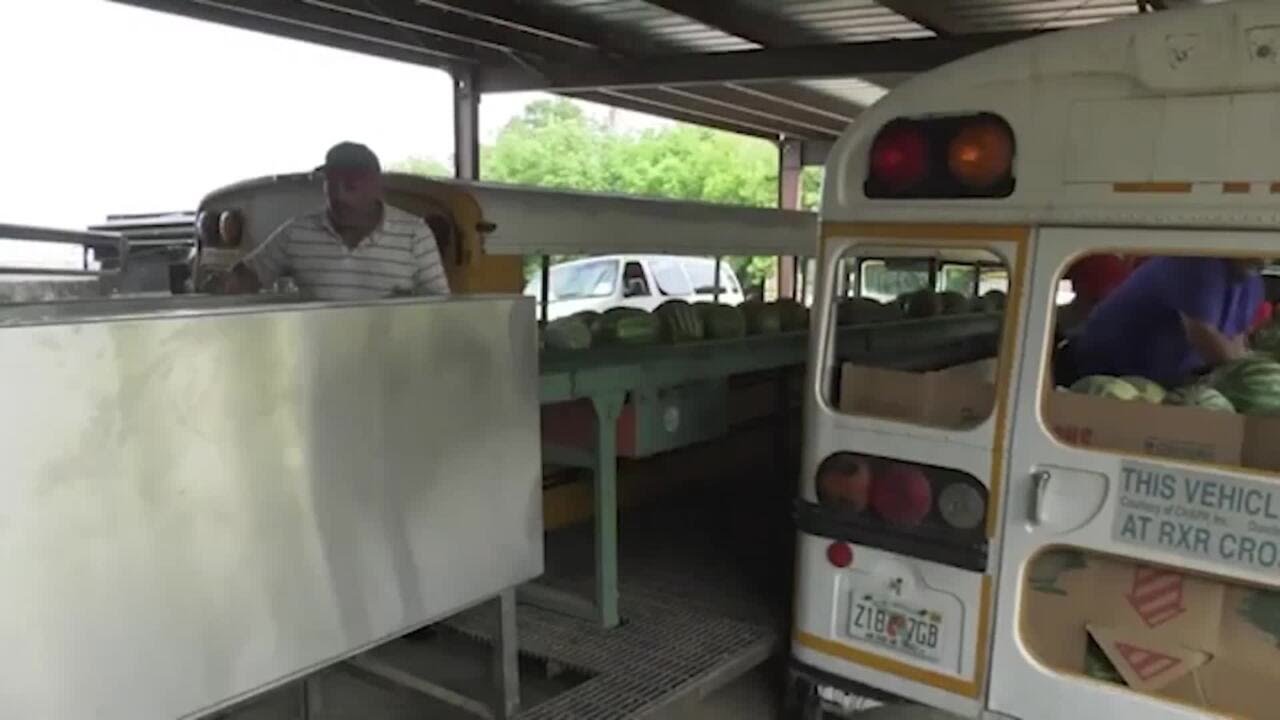 U.S. Farm Report 072024 - From the Farm - YouTube