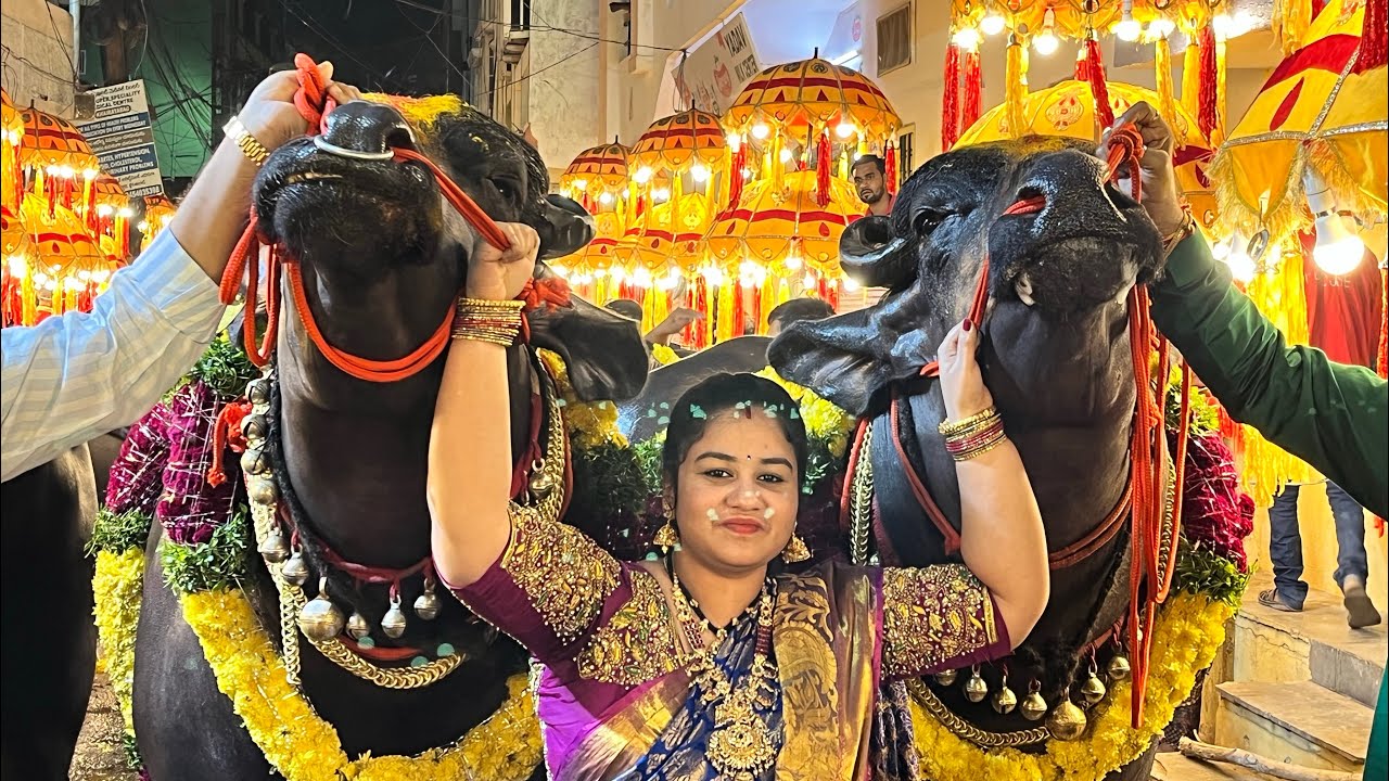 Khairatabad Sadar 2021 | Shahrukh Bull & Love Rana Bull at Madhu Yadav ...