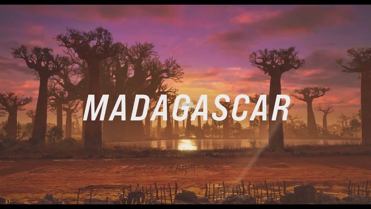 TEKKEN 8 New Madagascar Stage - Baobab Horizon Exploration - YouTube