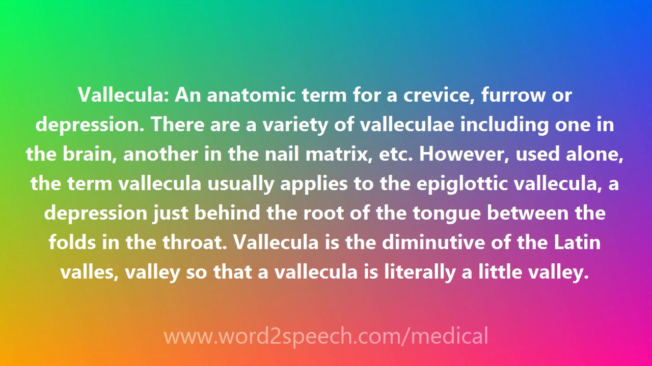 Vallecula - Medical Meaning and Pronunciation - YouTube