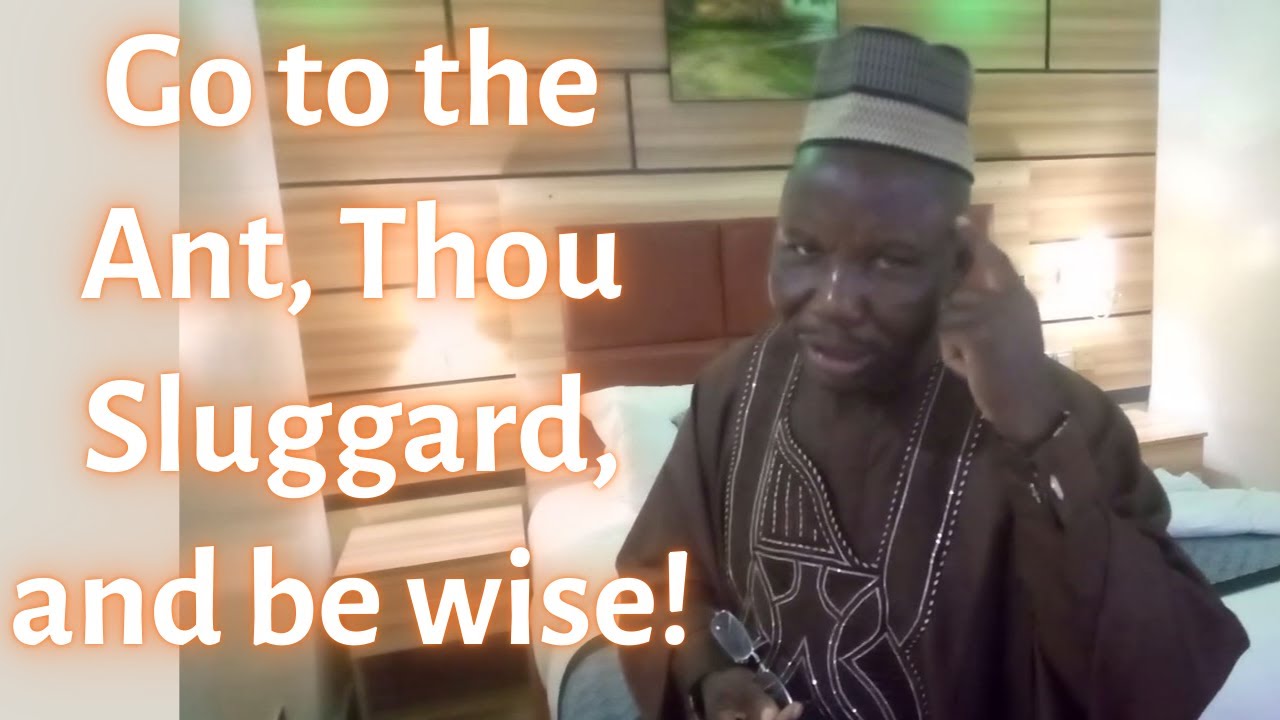 The Philosophy of the Ant: The Ant & The Sluggard - YouTube