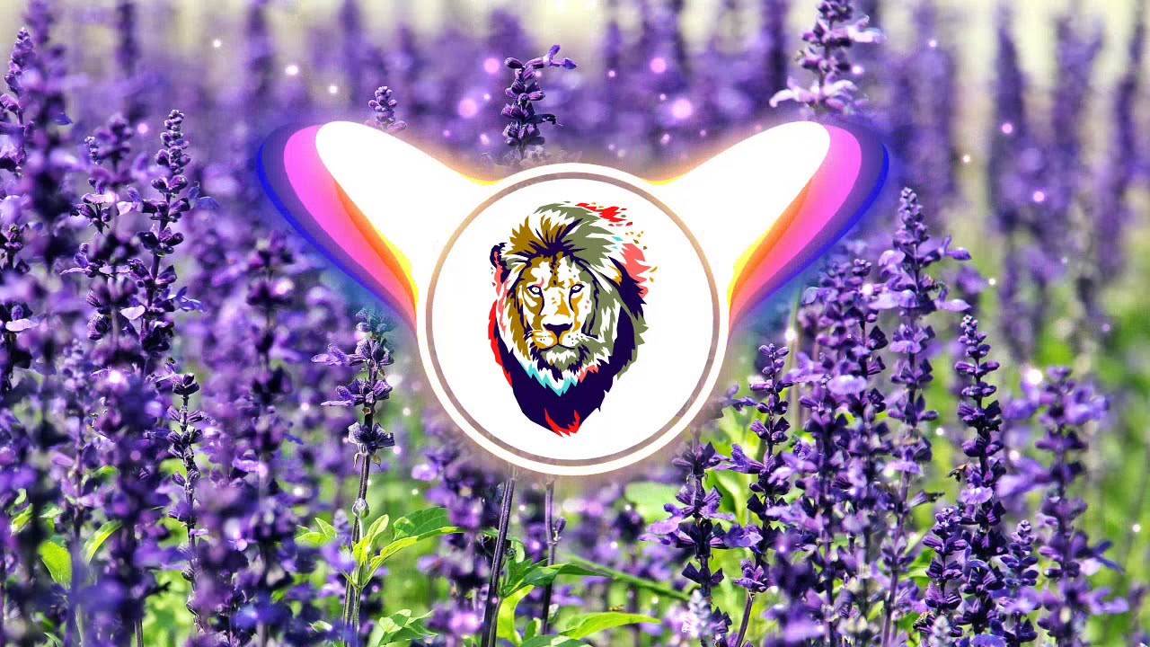 Electronic Music, Audio Library, Good Life - JayJen & Roa [Audio ...