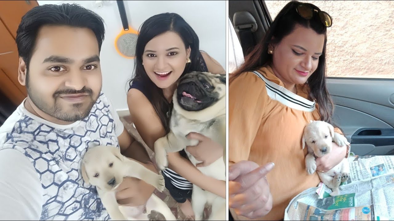 New Family Member||Cuteness Alert!!! ||Bozo New Haircut - YouTube