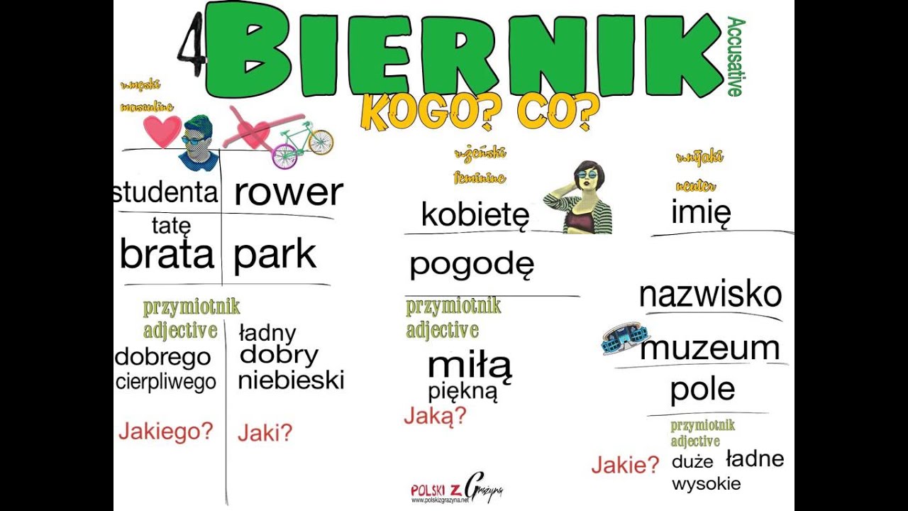 POLISH FOR BEGINNERS. Biernik (the Accusative case) - YouTube