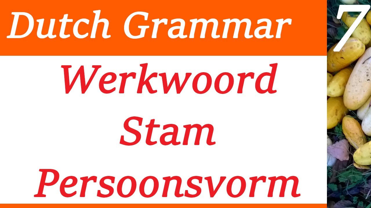Verb and pronouns in Dutch language | Lesson 7 Grammar | Werkwoorden ...