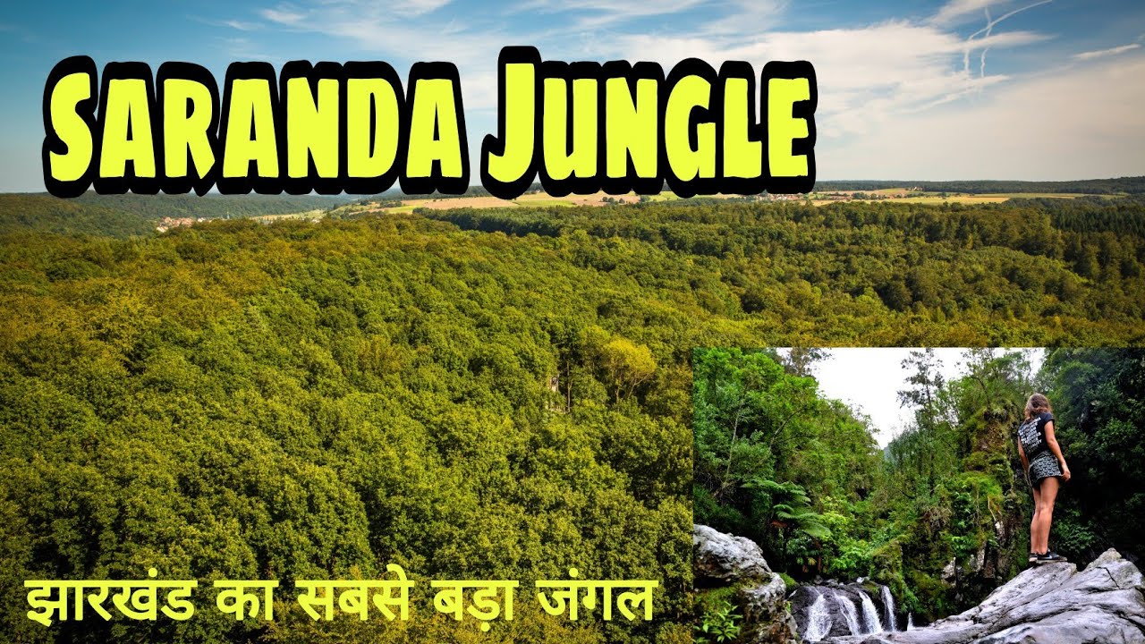 largest forest of Jharkhand (saranda forest) सारंडा वन - YouTube
