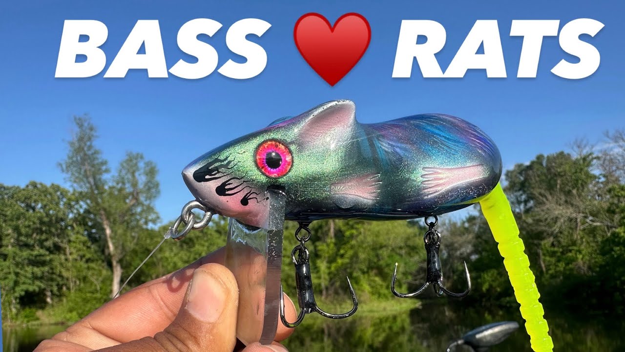The Juice: Bass Fishing with a BIG RAT Swimbait! - YouTube