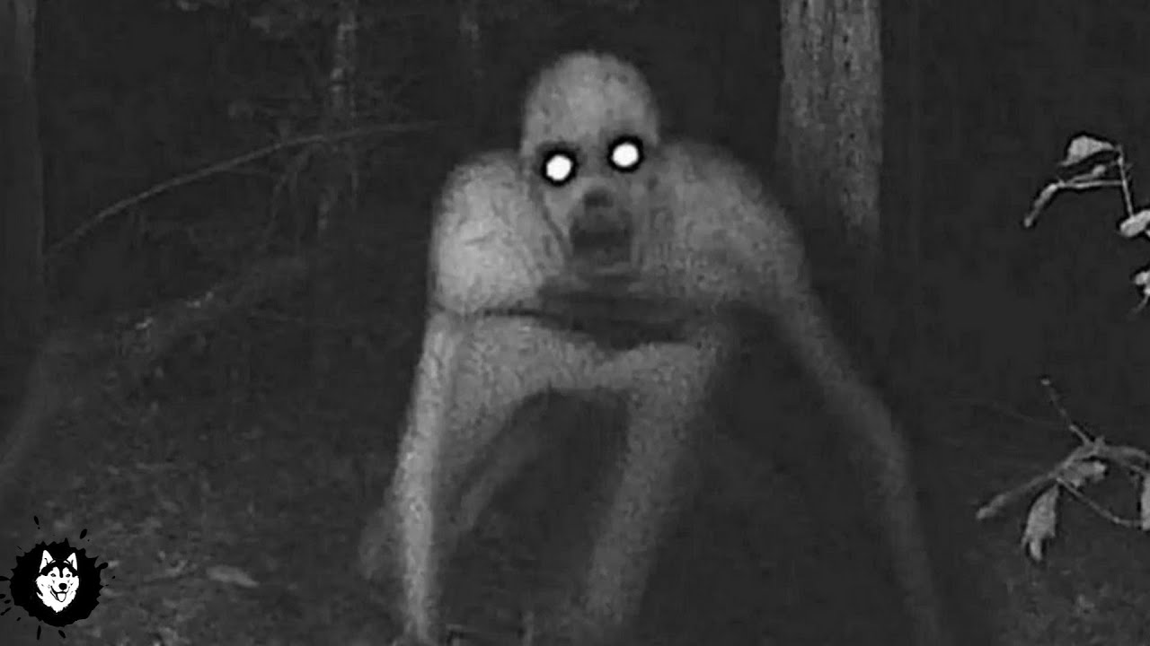 5 Scary "Rake" Sightings Caught on Camera [Black dog ] - YouTube