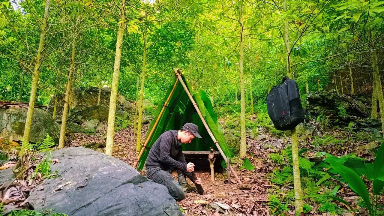 8 DAYS solo Survival Skills; (NO FOOD, NO WATER) Survival Shelter ...