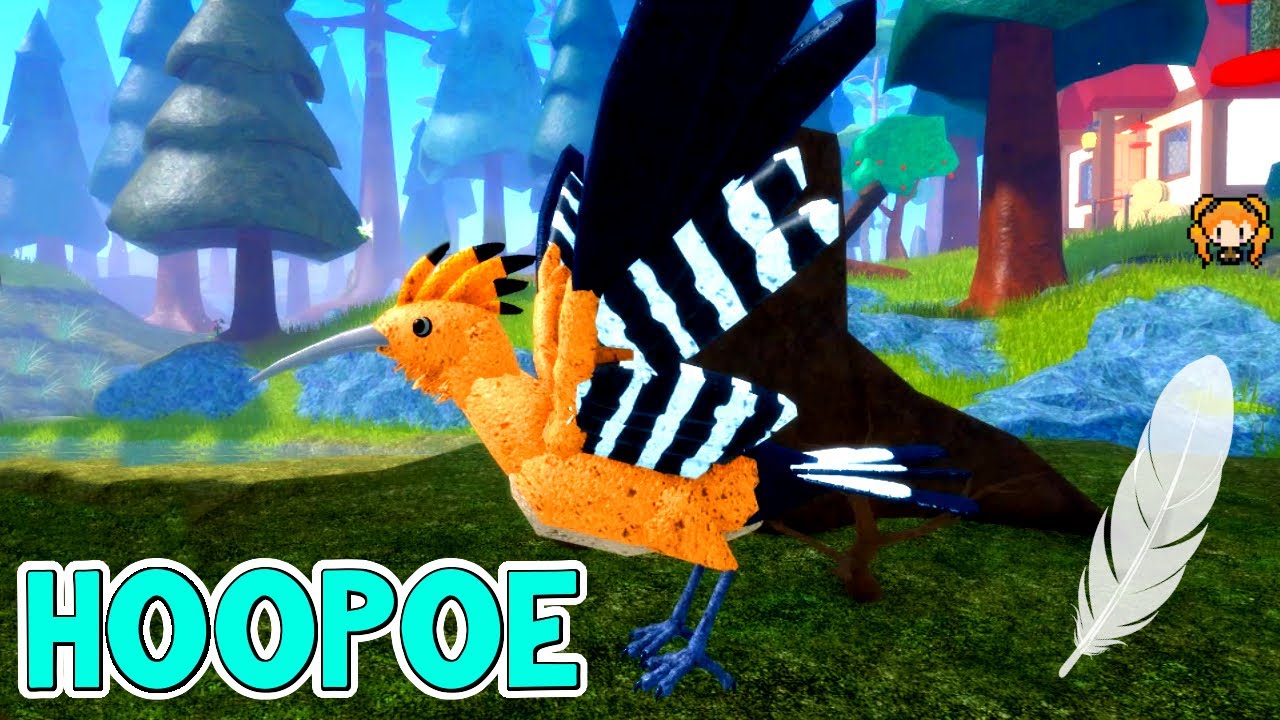 HOOPOE Roblox Feather Family Turkey Day - YouTube