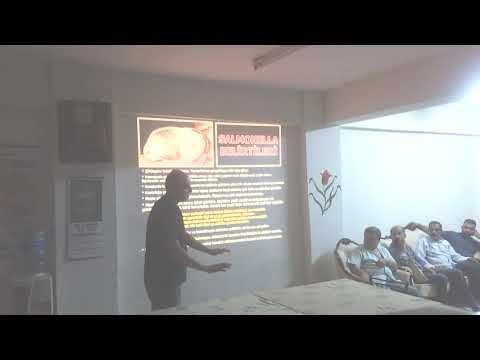 'En Sık Görülen Güvercin Salgınları' Video Serisi: #1 SALMONELLA