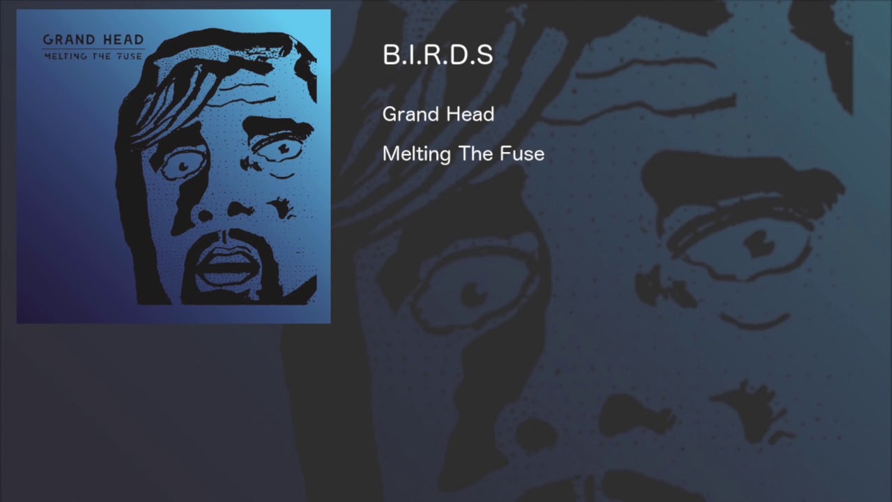 B.I.R.D.S - YouTube