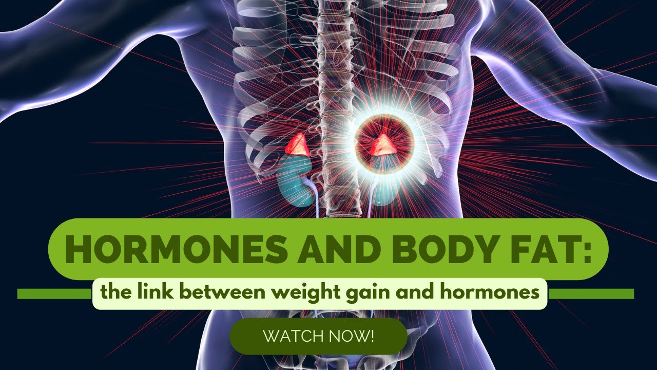 Hormones and Body Fat: the link between weight gain and hormones - YouTube