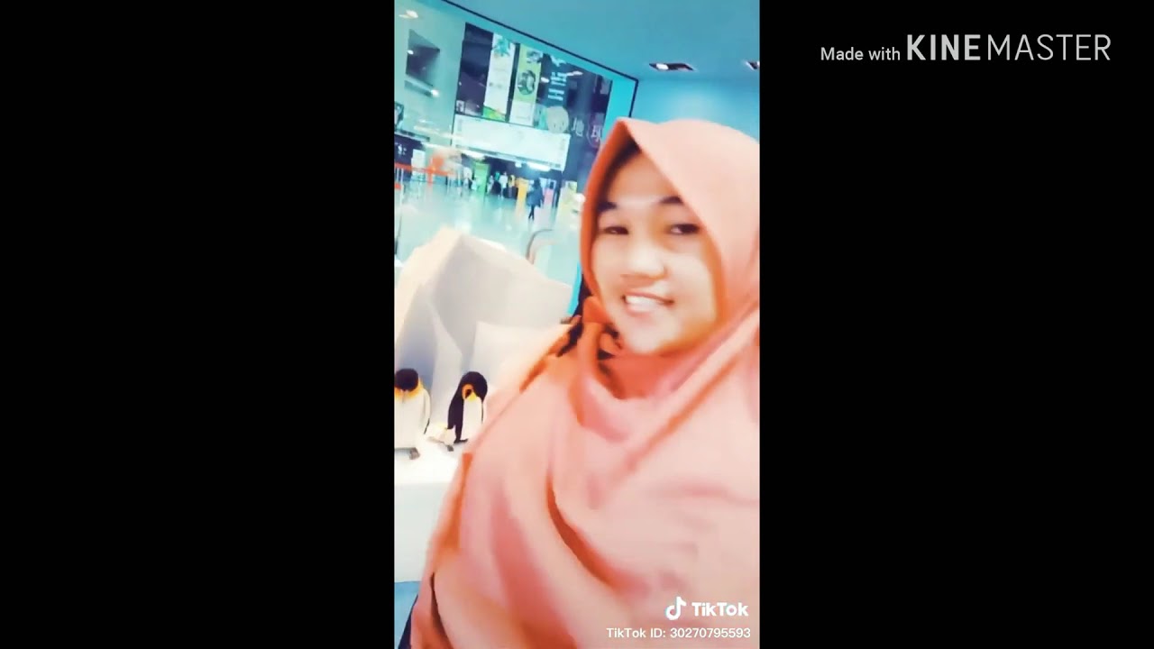 Kumpulan vidio tik tok - YouTube