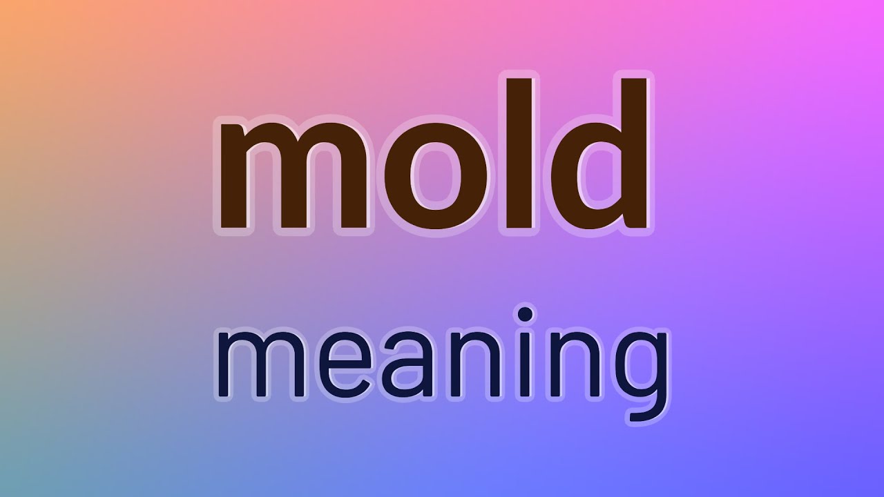 Mold - 238 English Vocabulary Flashcards - YouTube