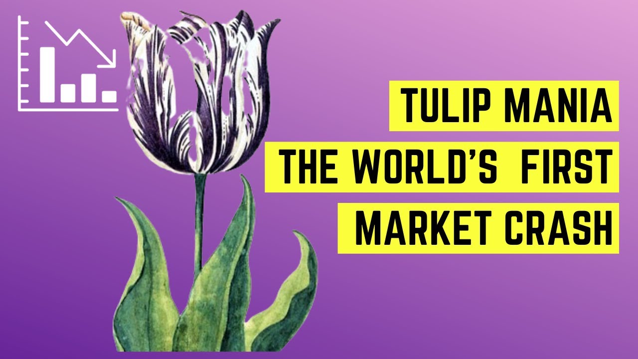 🌷 Tulip Mania: The Insane Financial Craze that Shook 17th Century ...