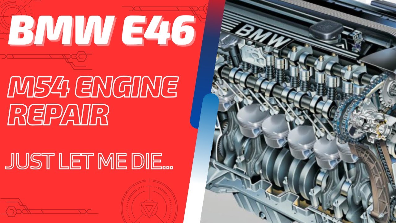 BMW E46 M54 Engine Diagnostics and Replacement Part 1 #bmw #E46 #M54 ...