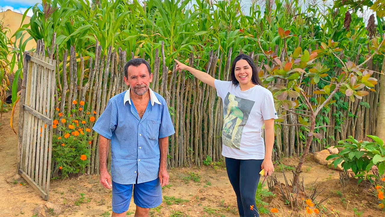 RAIMUNDO MOSTROU COMO JÁ ESTÃO AS PLANTAÇÕES QUE FIZEMOS NO QUINTAL ...