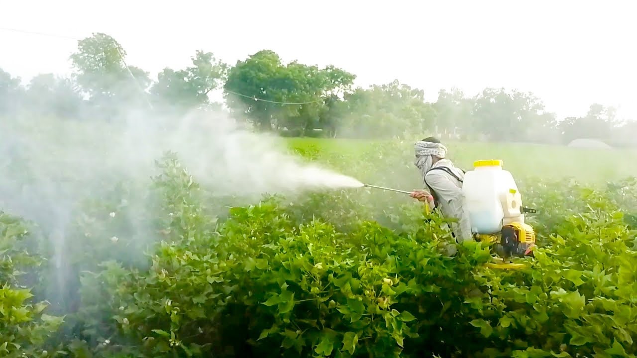 Generator Power Spray Machine||spray machine in Pakistan||पिचकारी ...