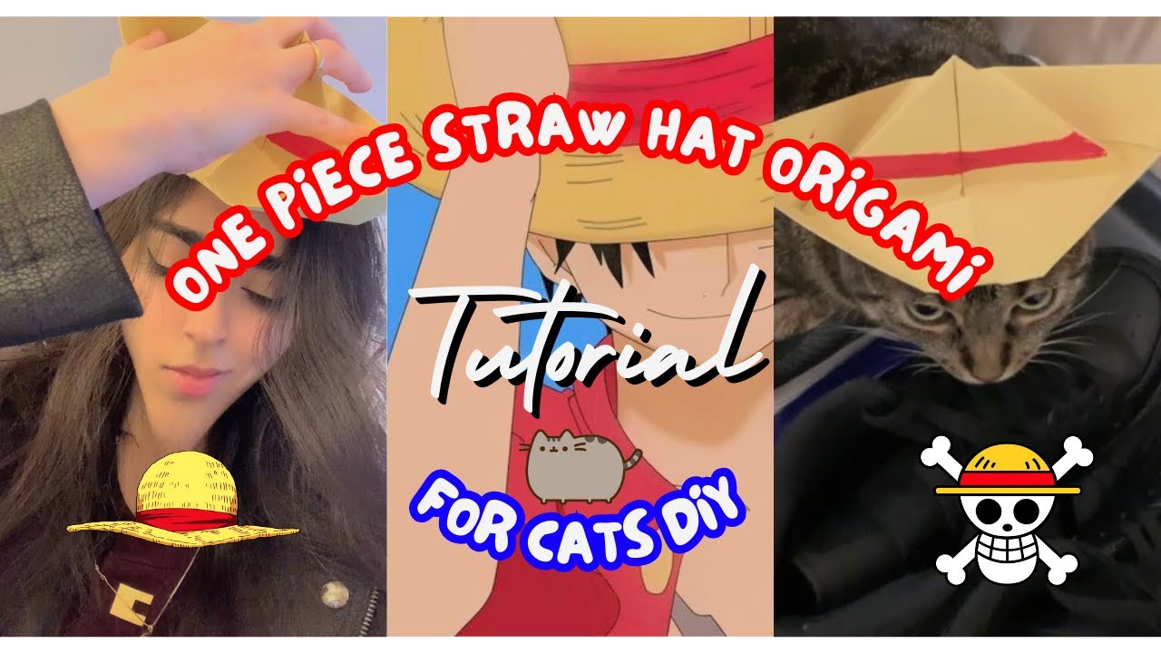One Piece Straw Hat Origami Papercraft Tutorial for Cats DIY! 👒 - YouTube