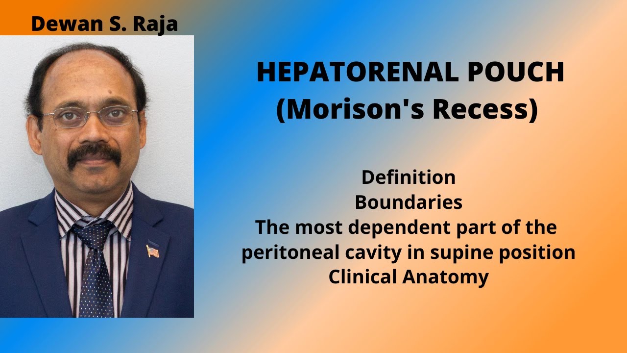 HEPATORENAL POUCH (Morison's Recess) - YouTube