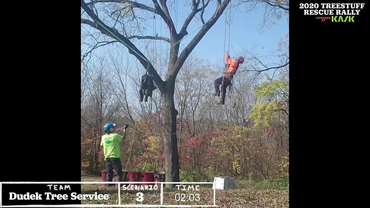Climber in a V-Rig Rescued from Tree - Scenario 3 - 2020 TreeStuff ...