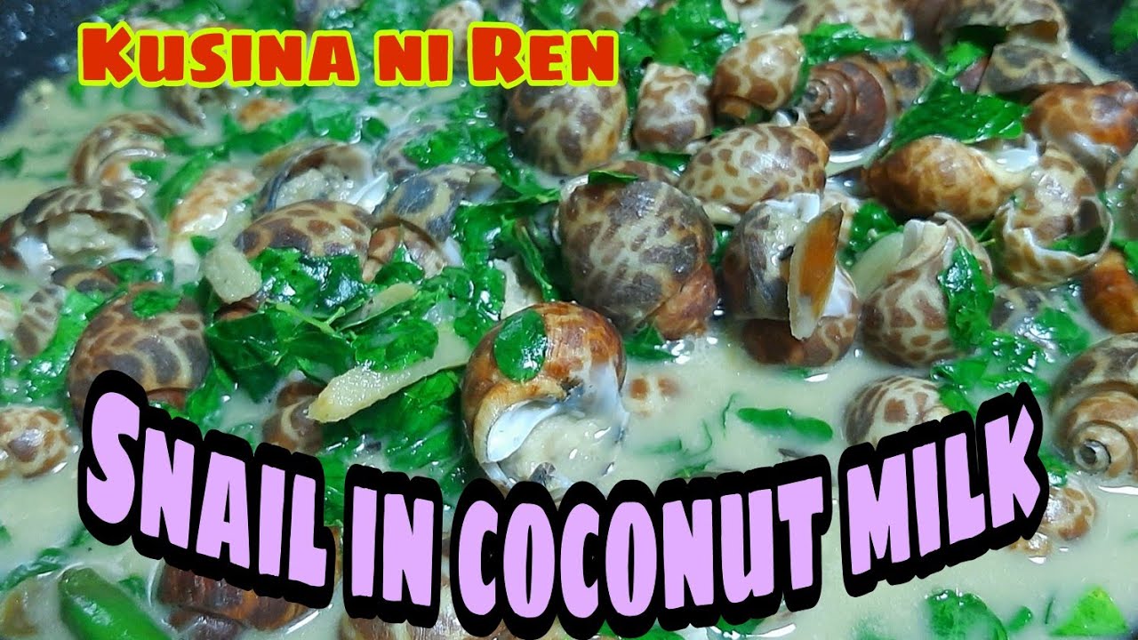 SNAIL IN COCONUT MILK| SNAIL| SIMPLE AT MASARAP NA GINATAANG KUHOL ...