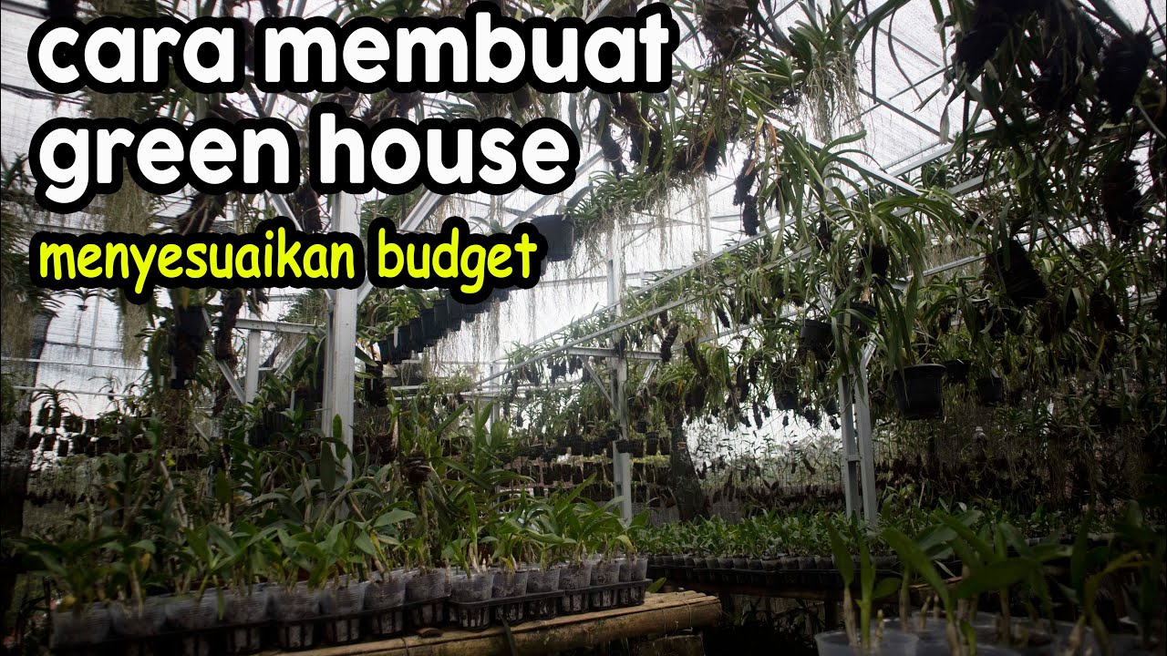 Greenhouse Anggrek Cantik - YouTube