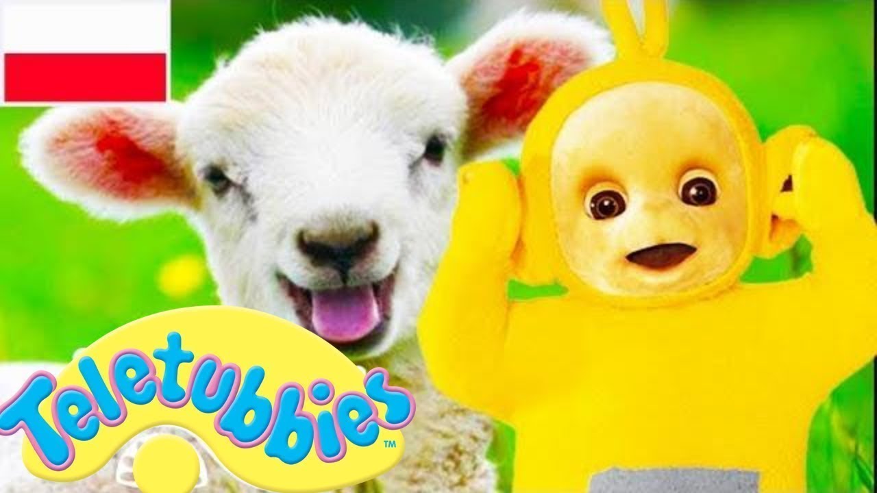 Teletubisie Po Polsku ☆ Kompilacja 1 godzina ☆ DOBRA JAKOŚĆ (Pełny ...