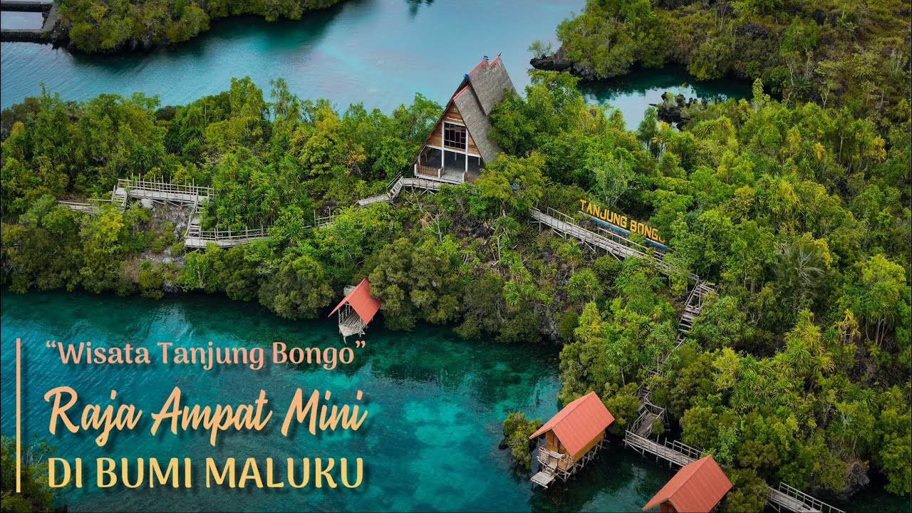 Wisata Tanjung Bongo Raja Ampat Mini Maluku #wonderfullindonesia # ...