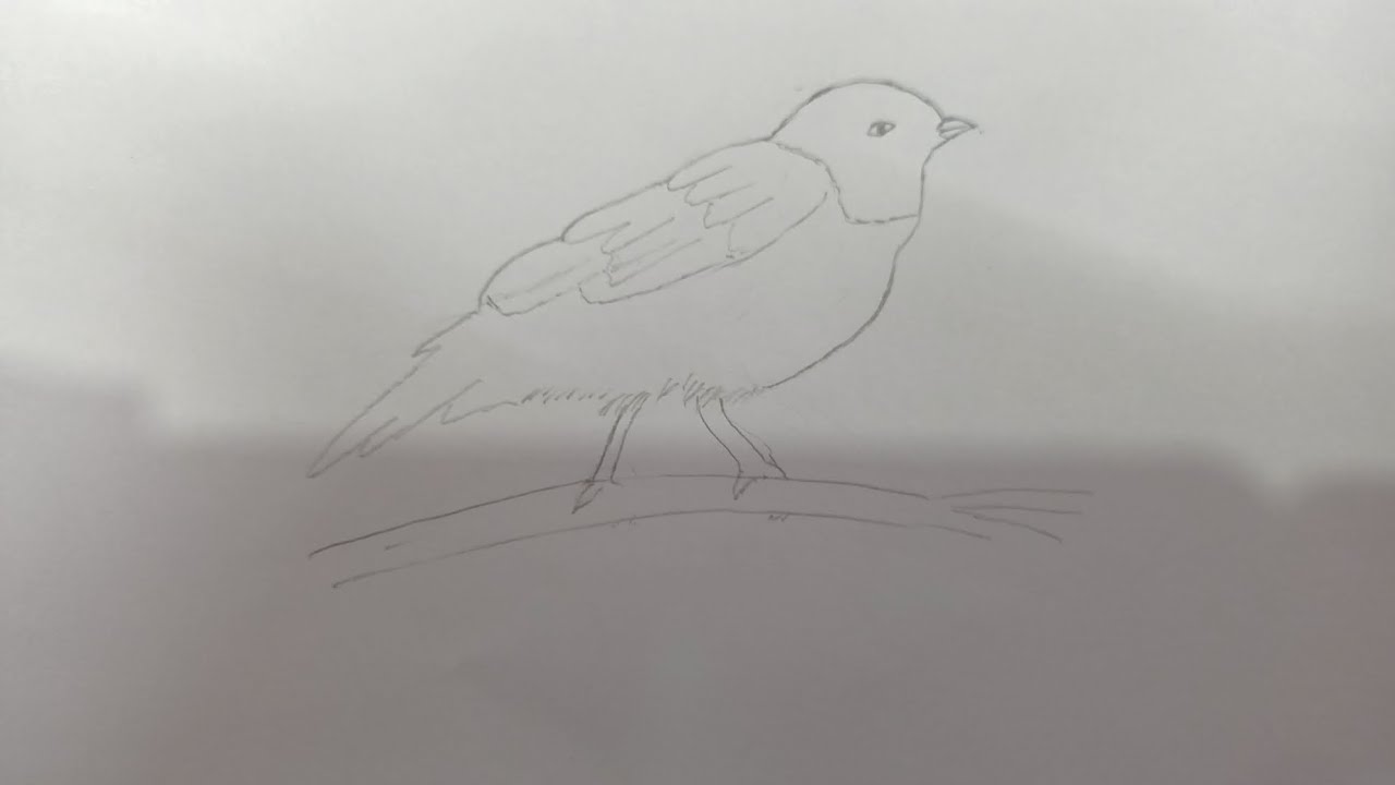 Draw Sparrow in 5 mins #drawing #sparrowdrawing #goldensparrow @Magneto ...